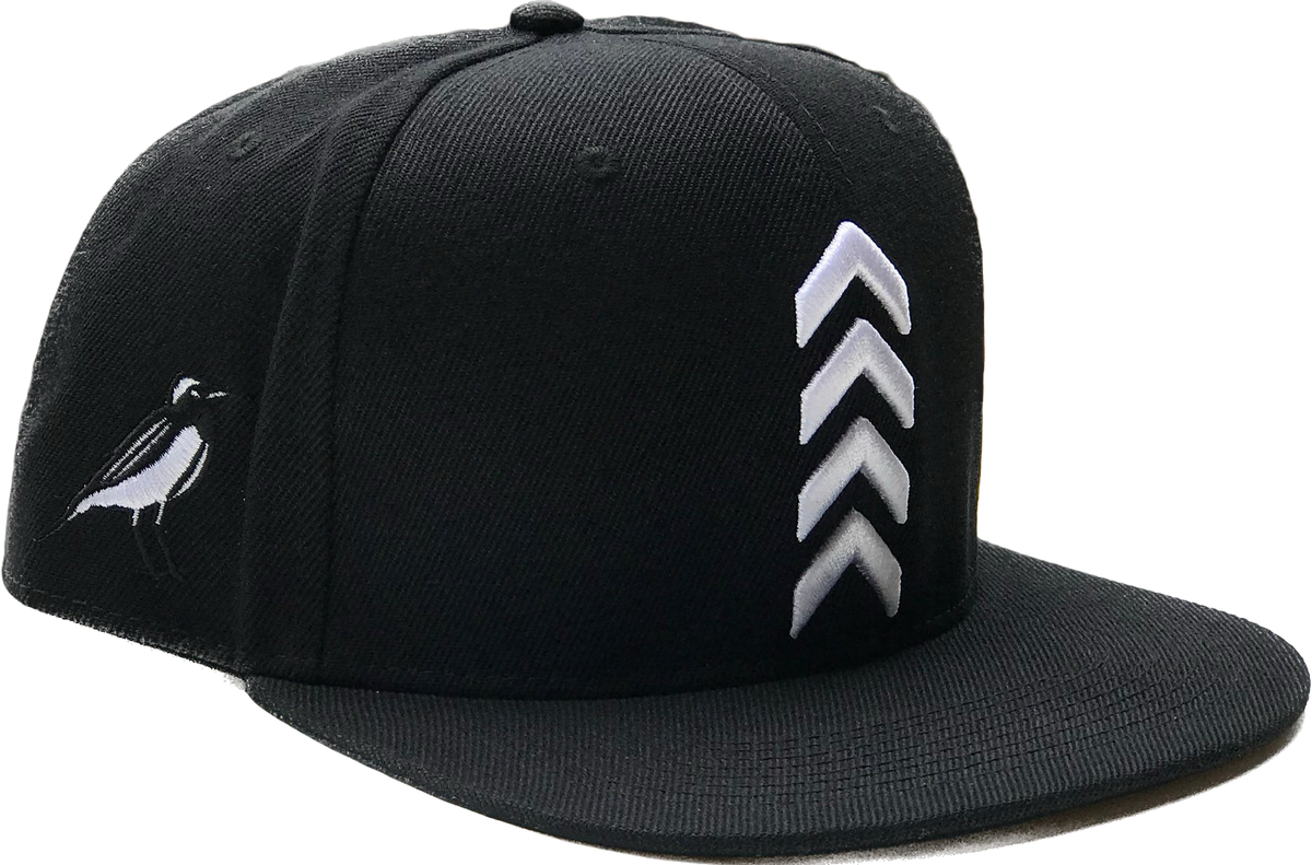 Takeoff 3D Embroidery Snapback Caps